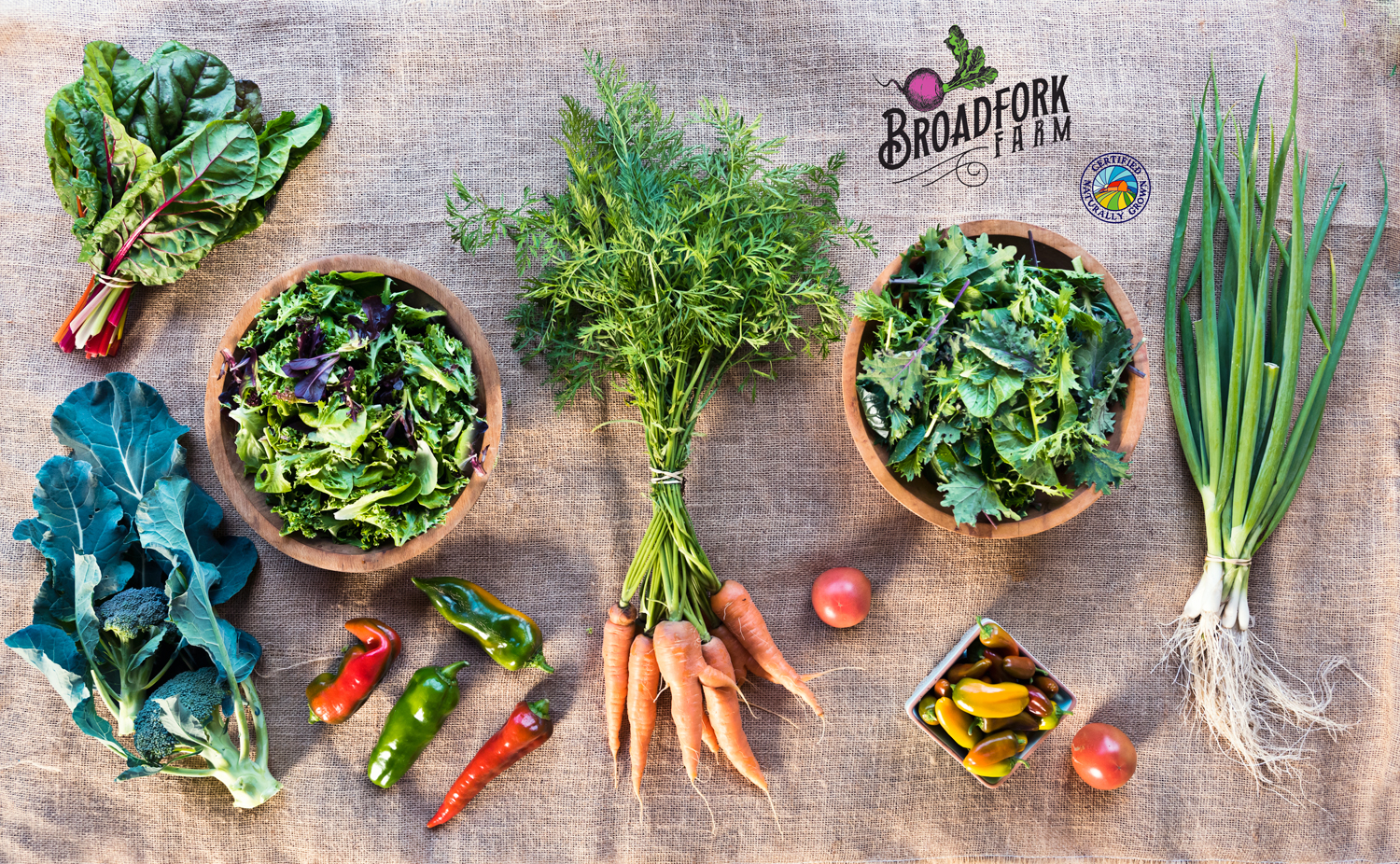 Vegetables – Broadfork Farm