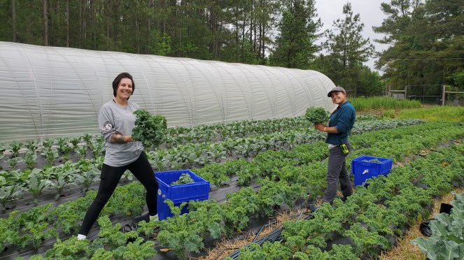 Job Opportunities – Broadfork Farm